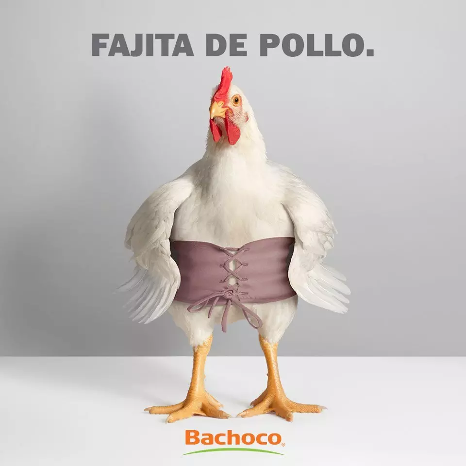 ¿Quién está detrás de la publicidad de Bachoco?